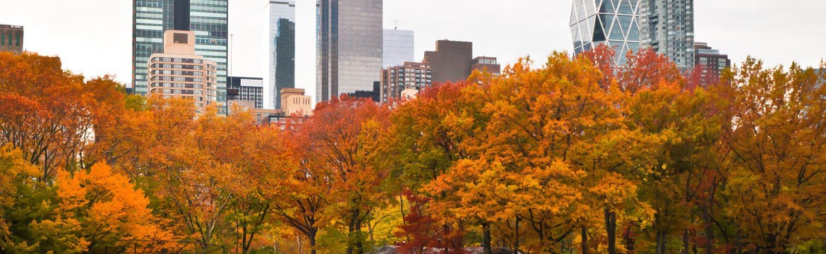 Preserving your Jaw after Extraction: Socket Preservation